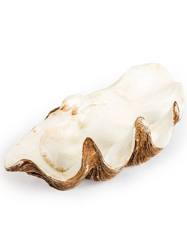 Large Clam Shell Decorative Bowl – MarramTrading.com